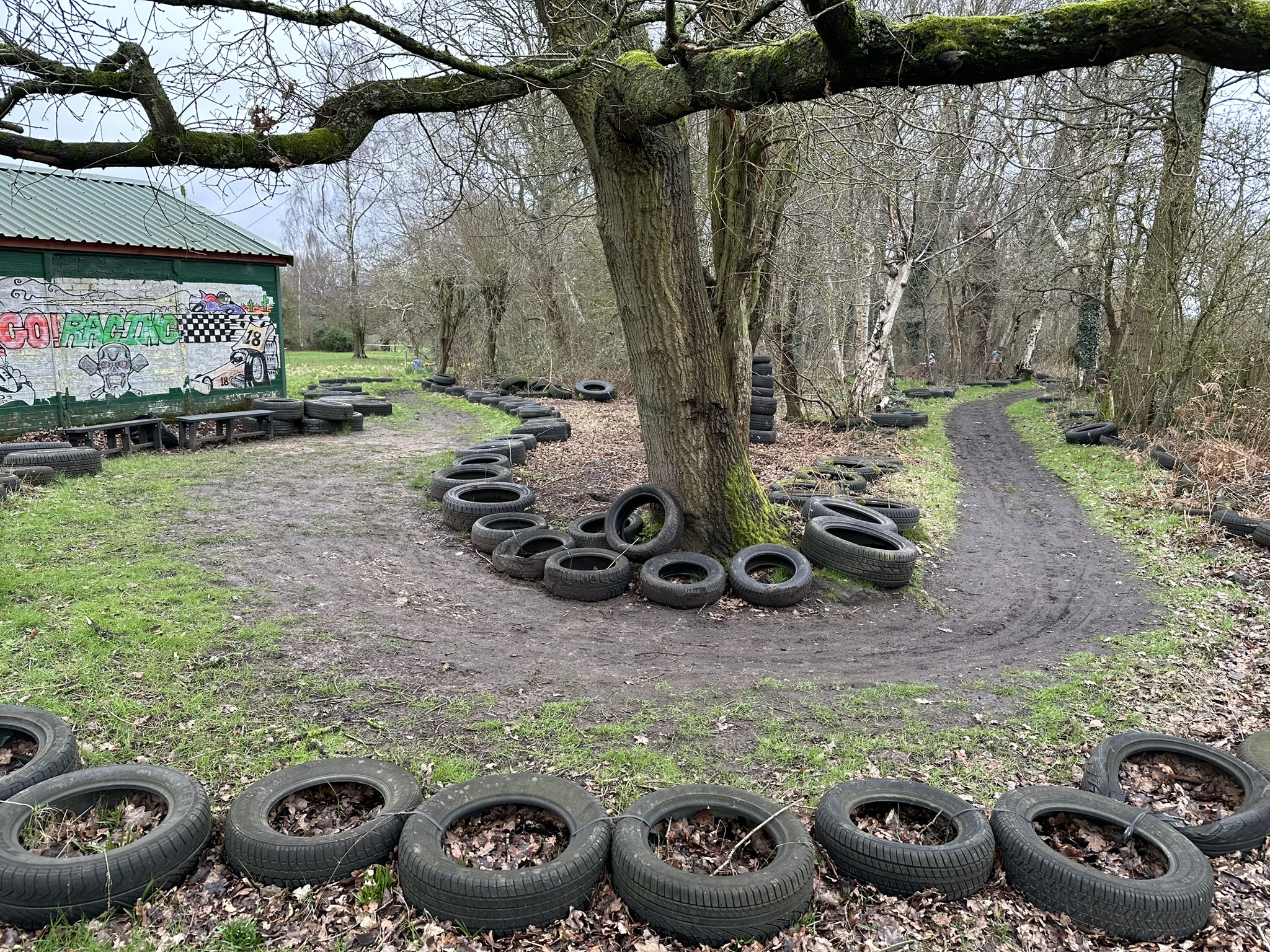 Home | Alfrey Activity Centre