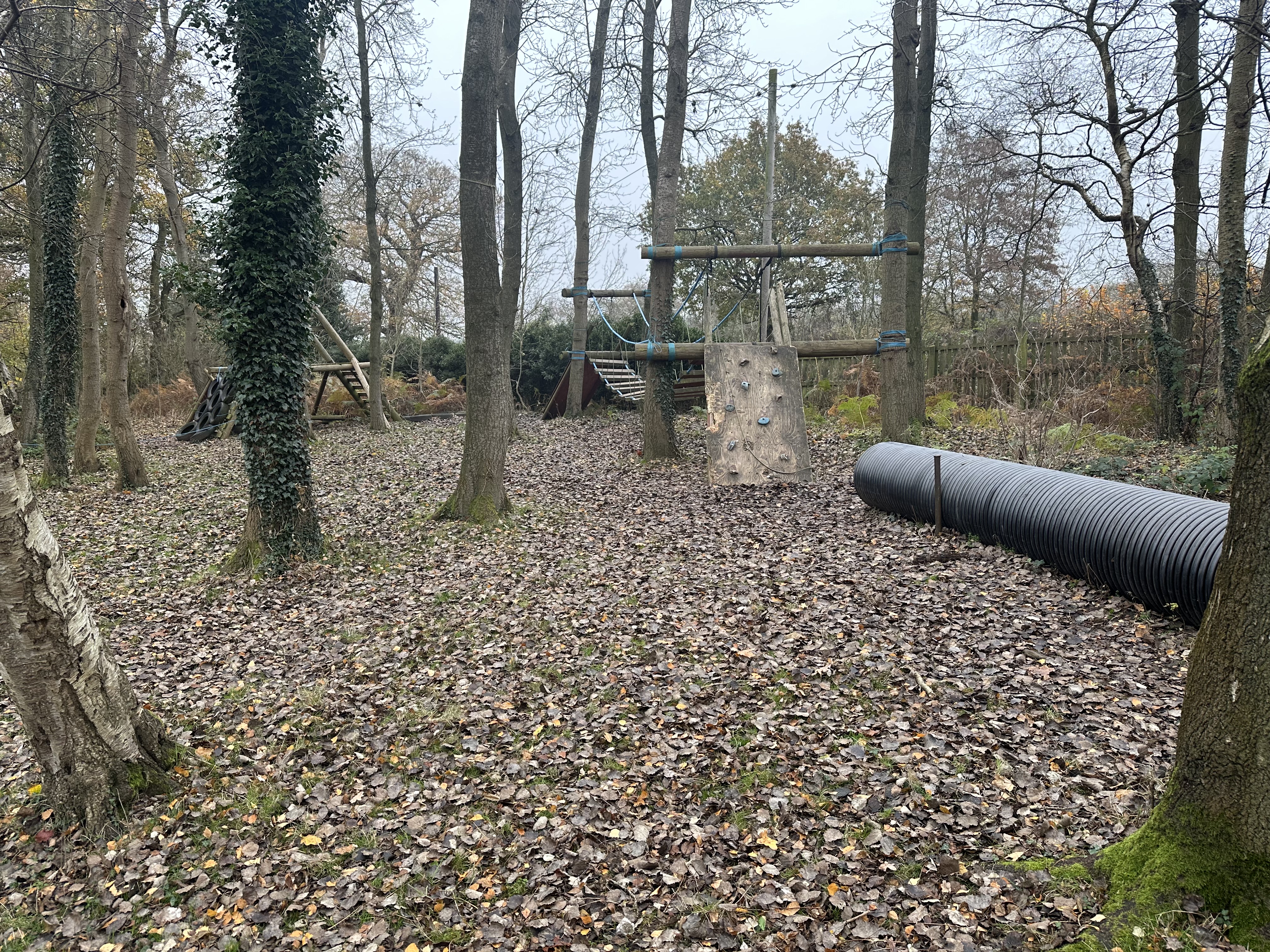 Home | Alfrey Activity Centre